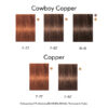 What Is The "Cowboy Copper" Hair Trend? Here's What It Really Means ...