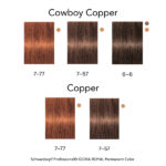 What Is The "Cowboy Copper" Hair Trend? Here's What It Really Means ...